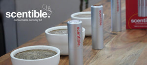 Scentible, Consumable Sensory Kit: Everything You Need to Know